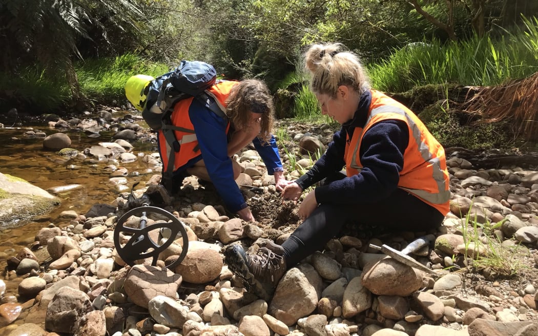 Weird, wacky and wonderful: Past Kiwi discoveries | RNZ News
