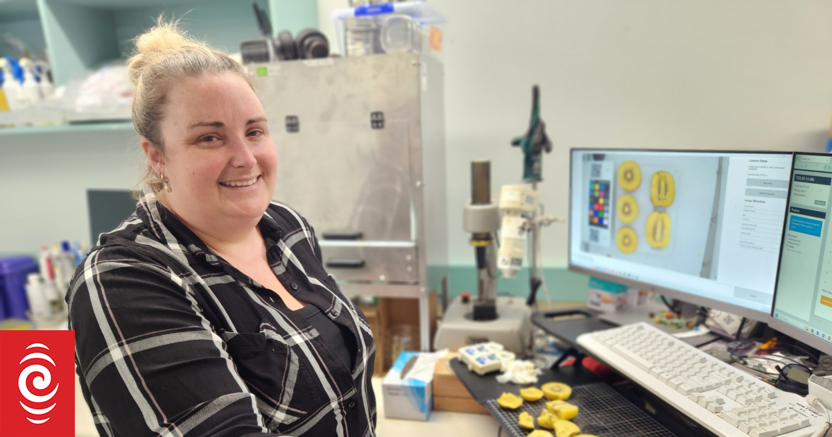 Country Life: Breeding the kiwifruit of the future | RNZ News