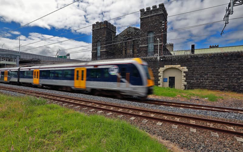 Pets to be allowed on Auckland trains during trial | RNZ