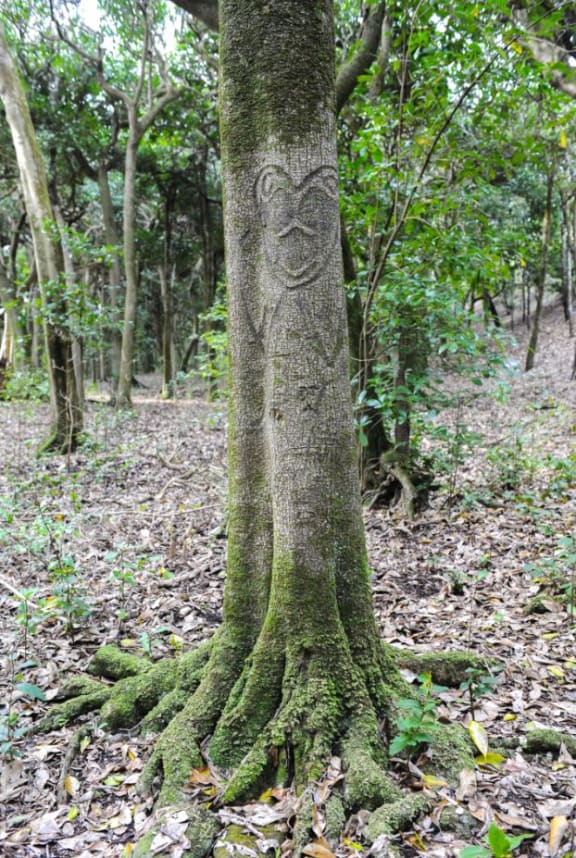 Moriori and the national history curriculum | RNZ