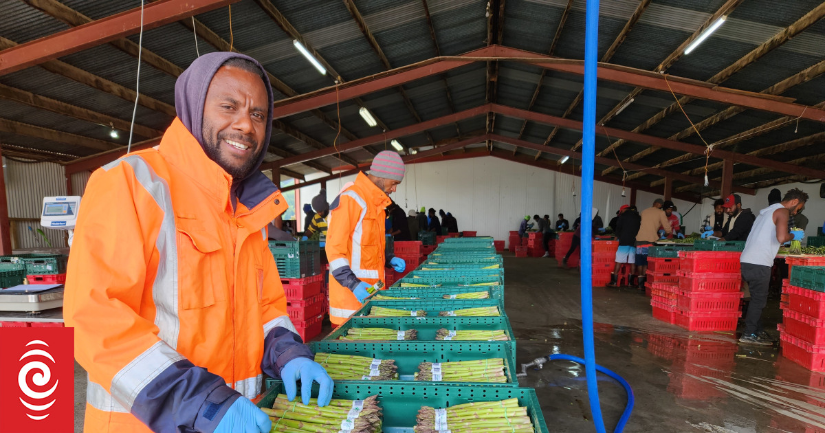 New reports show benefits of RSE Schemes in NZ & Australia | RNZ