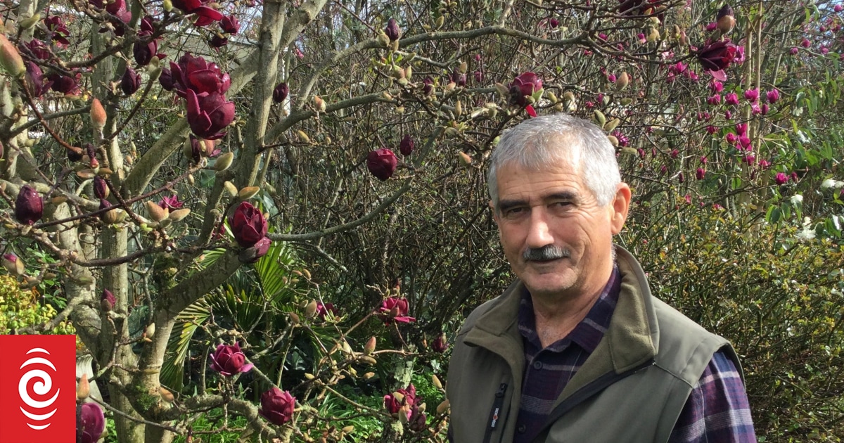 Magnolia man Vance Hooper | RNZ