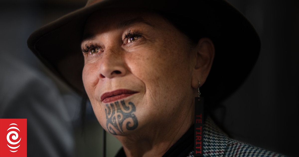Te Pati Maori to attend national hui | RNZ