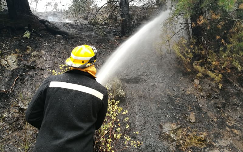 Two appointments to lead Port Hills fires recovery effort | RNZ