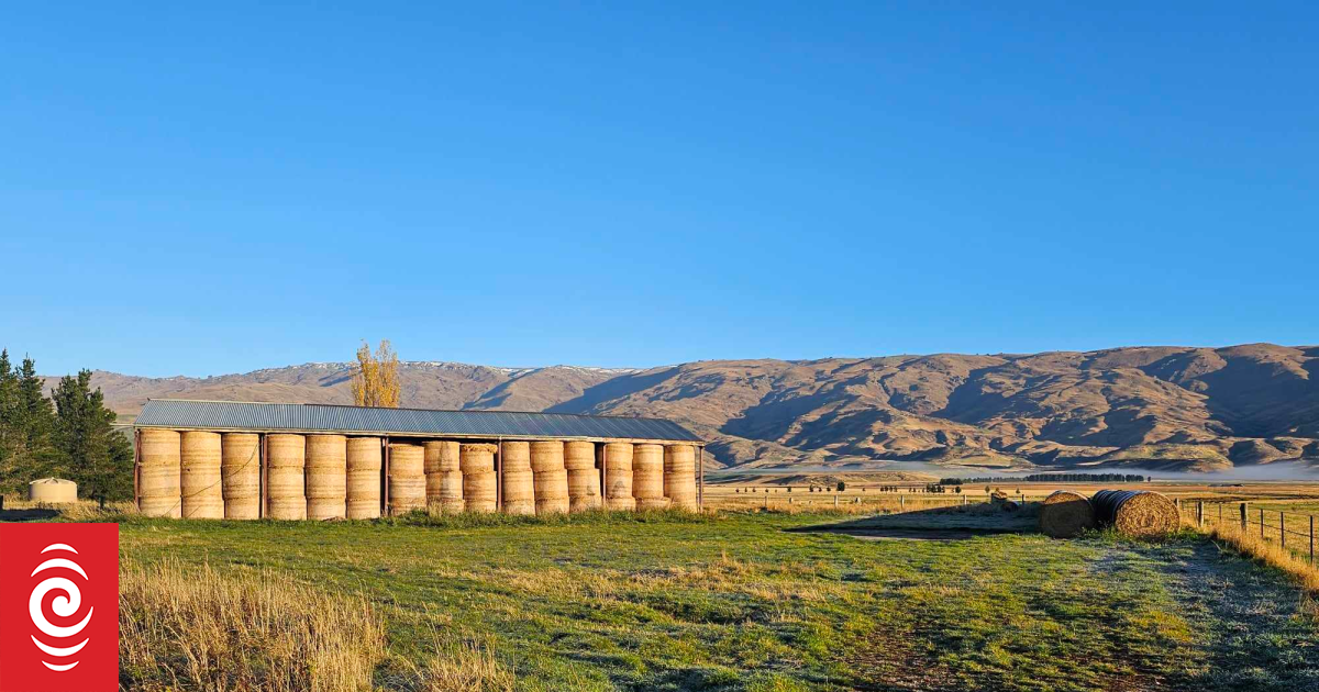 Edible bale netting providing an option to drop some on farm plastic | RNZ