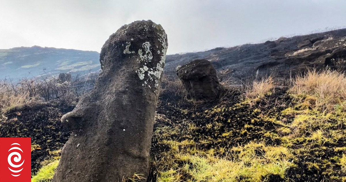 Rapa Nui: Sacred statues damaged by wild fire | RNZ News