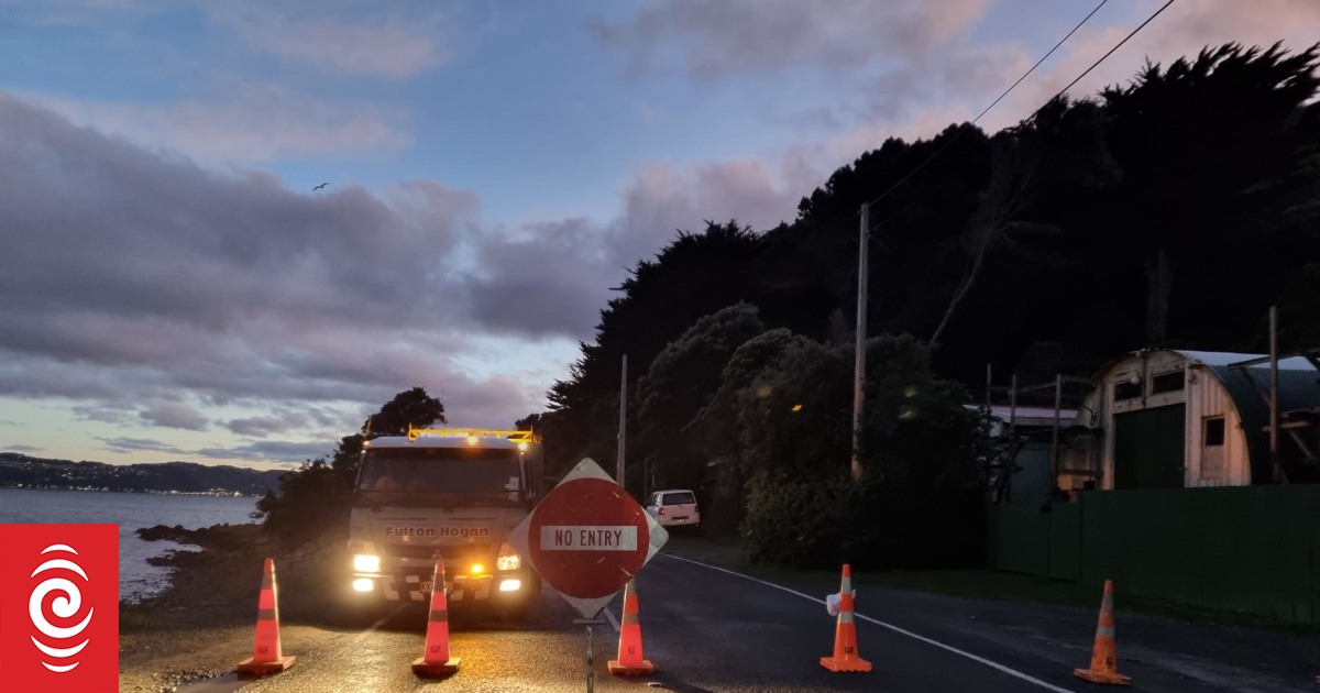 Police complete scene examination at Shelly Bay fire site | RNZ News