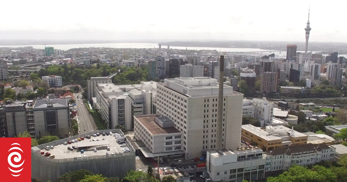 Typhoid outbreak under control, officials say | RNZ News