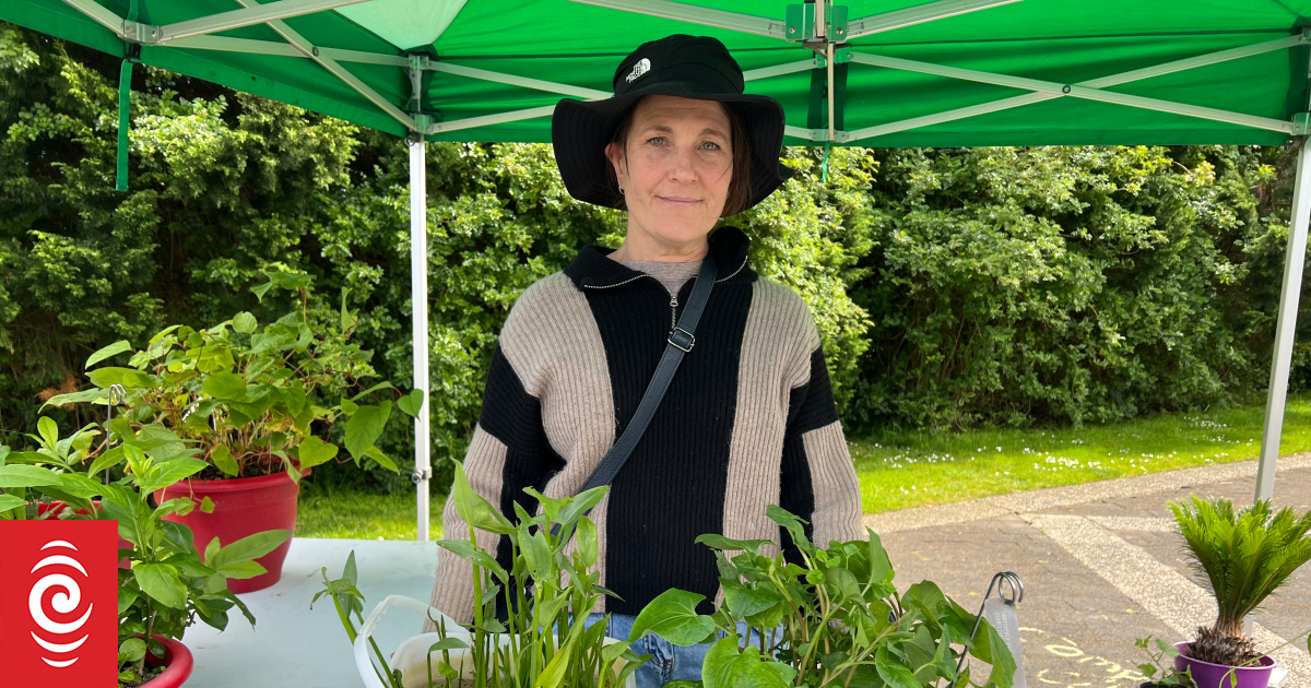 注意！这两种华人美食系有害物种，议会呼吁华人帮忙控制 | RNZ News