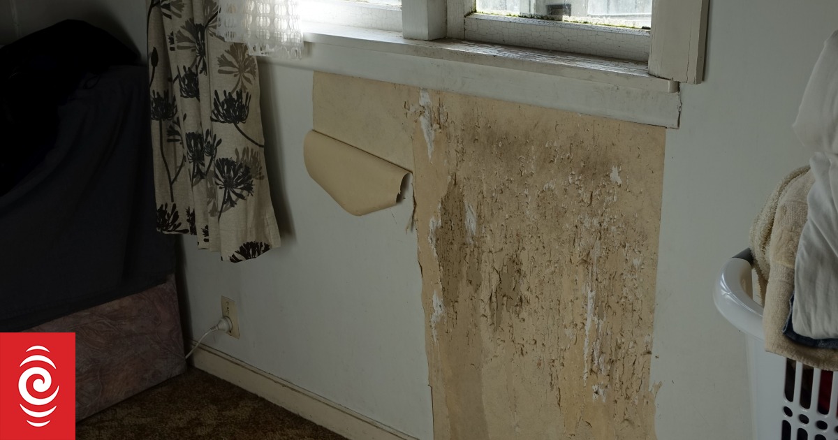 How to make a damp, cold home healthier | RNZ