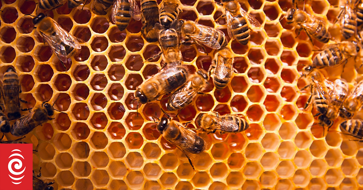 Bee alert: Warning after 250 million insects escape truck crash in US ...