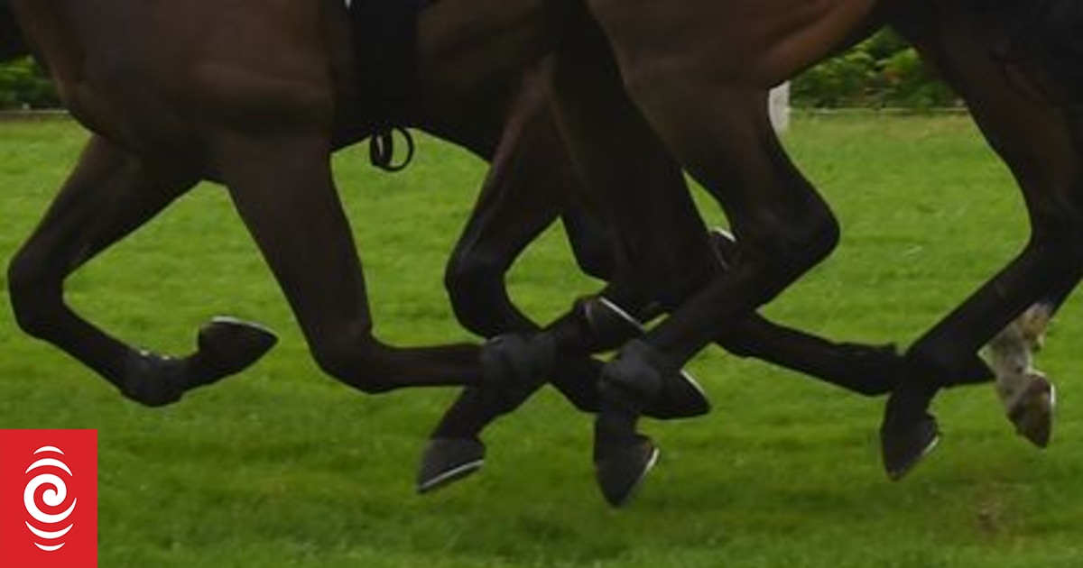 Top Kiwi jockey Bob Skelton dies, age 81 | RNZ News
