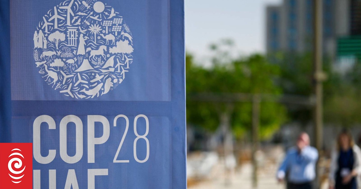 COP28 not quite the end of fossil fuels, despite landmark deal | RNZ News