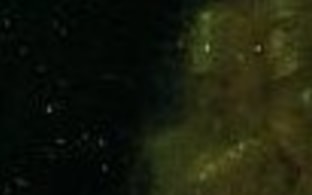 LULLY: Overture & Passacaille, from Armide | RNZ