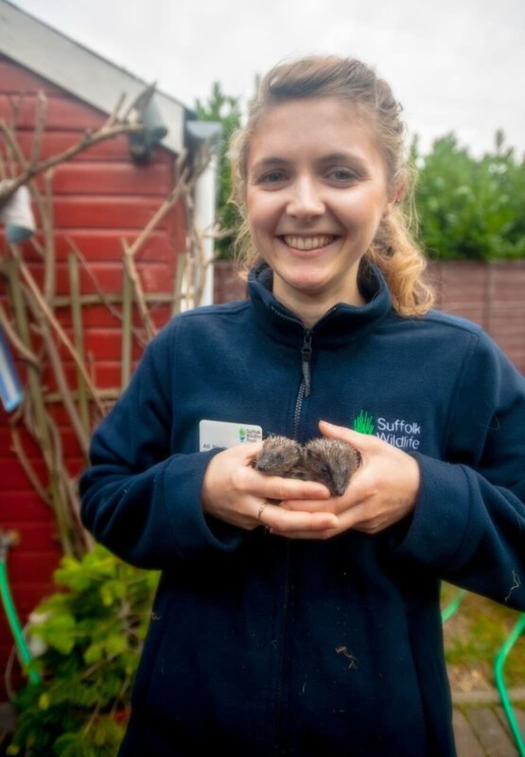 Summer Times for Wednesday 4 January 2017 Summer Times | RNZ