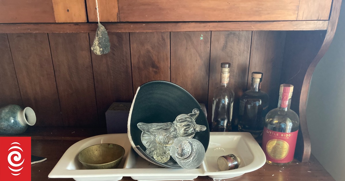 The Pre-Panel with Chris Wikaira and Ruth Money | RNZ