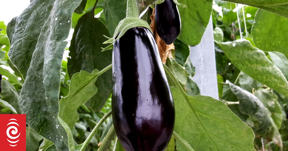 Fruit and Vege Report with Glenn Forsyth | RNZ