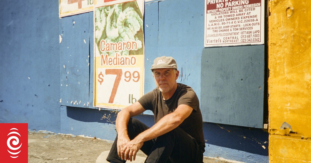 The Sampler - Blu Wav by Grandaddy | RNZ News