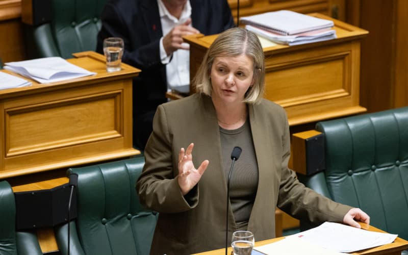 Labour calls for formal audit of govt's record keeping and OIA practice ...