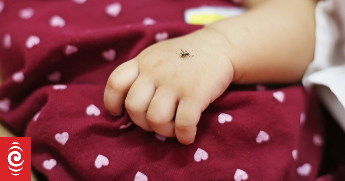 Dengue fever outbreak declared in Samoa | RNZ