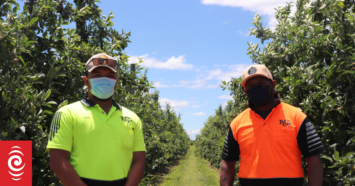 Immigration Minister details RSE numbers, conditions boost | RNZ