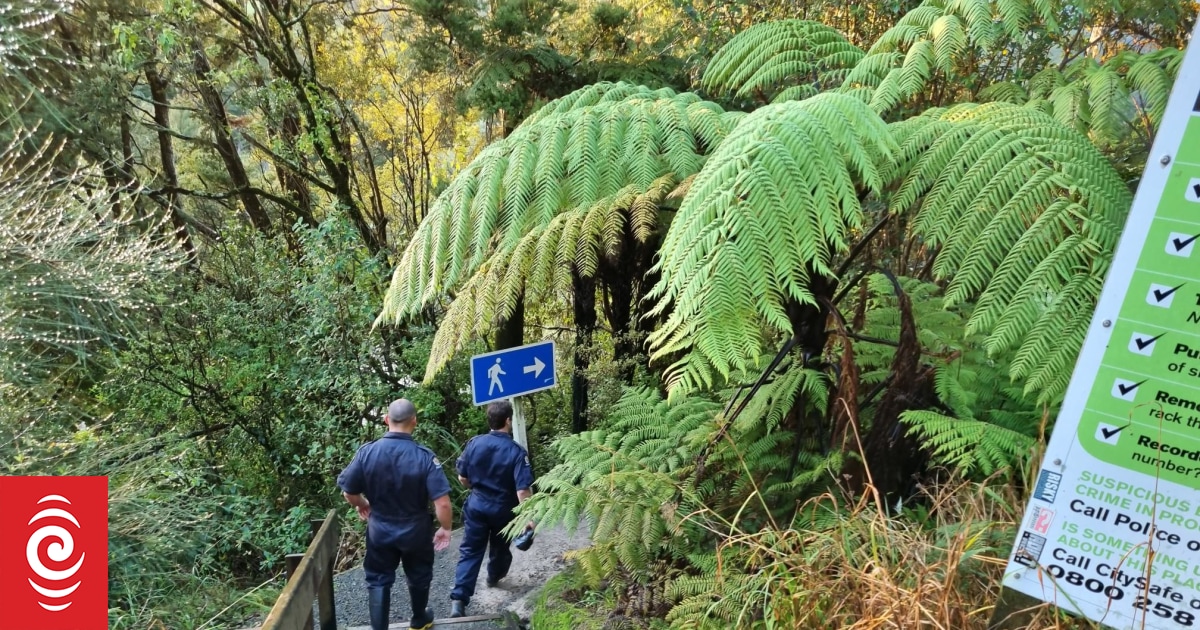 An hour of terror - What happened during the Abbey Caves tragedy | RNZ News