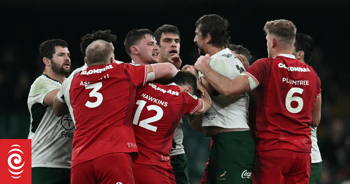 Springboks lock Eben Etzebeth gets 12-match ban for eye gouge | RNZ News