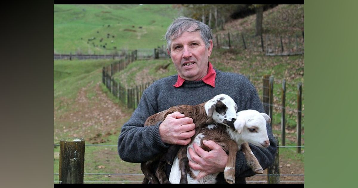 Country Life for Friday 18 November 2022 Country Life | RNZ