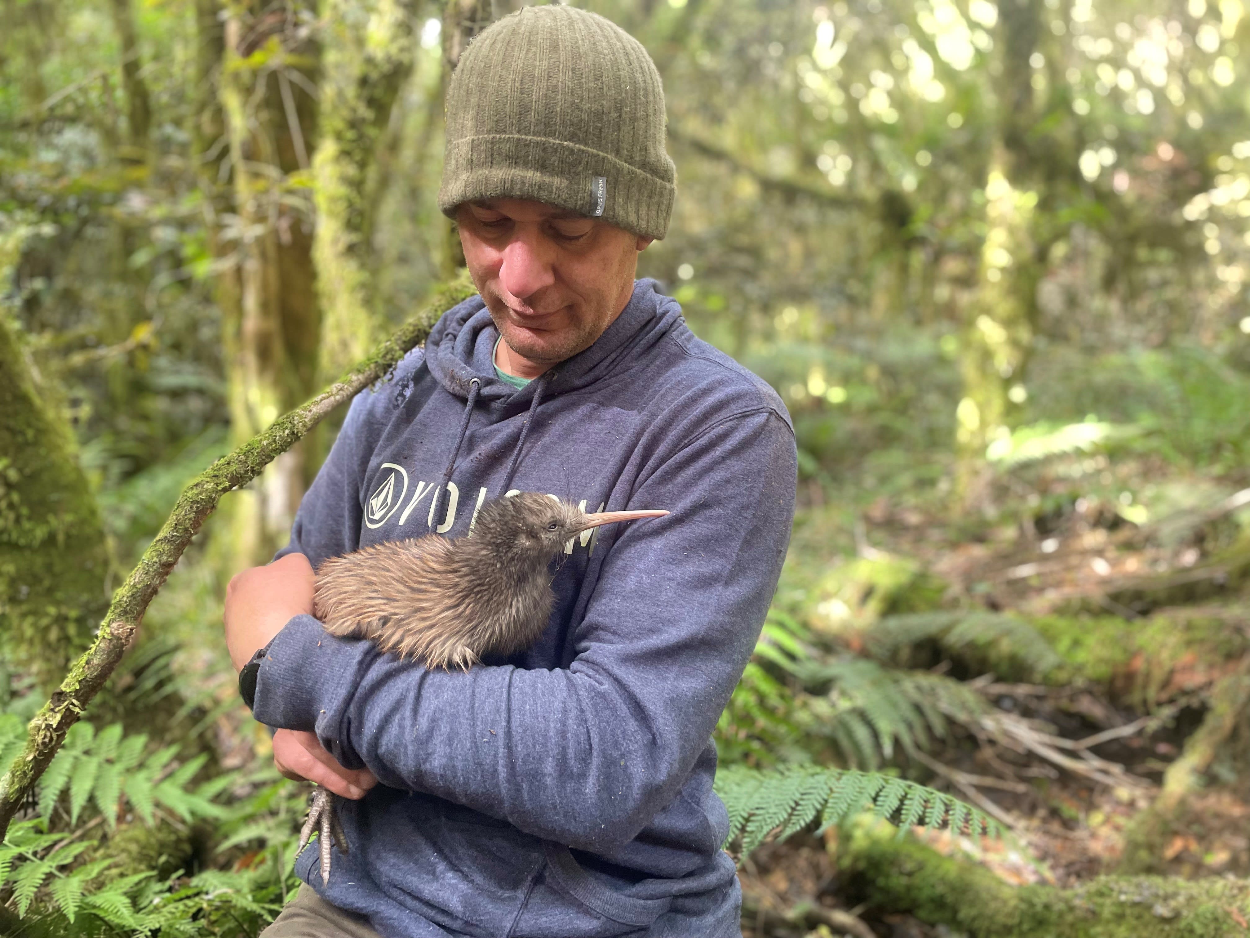 Birds and the bees: Manunui Honey | RNZ