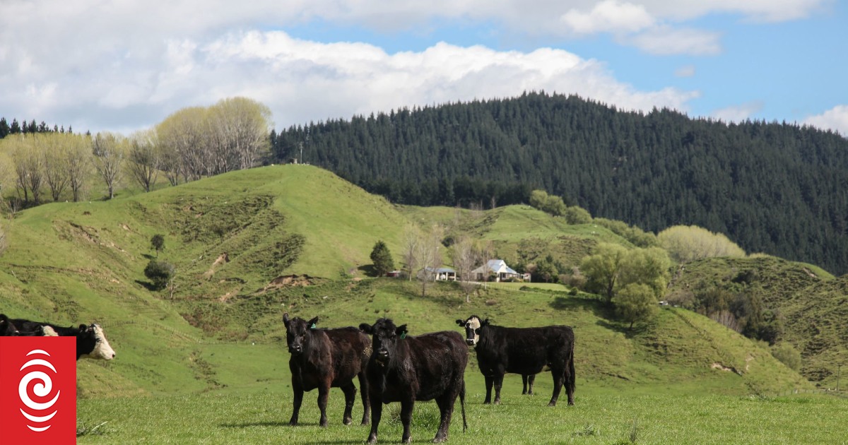Veterans' farm has done its job now return it - iwi | RNZ News