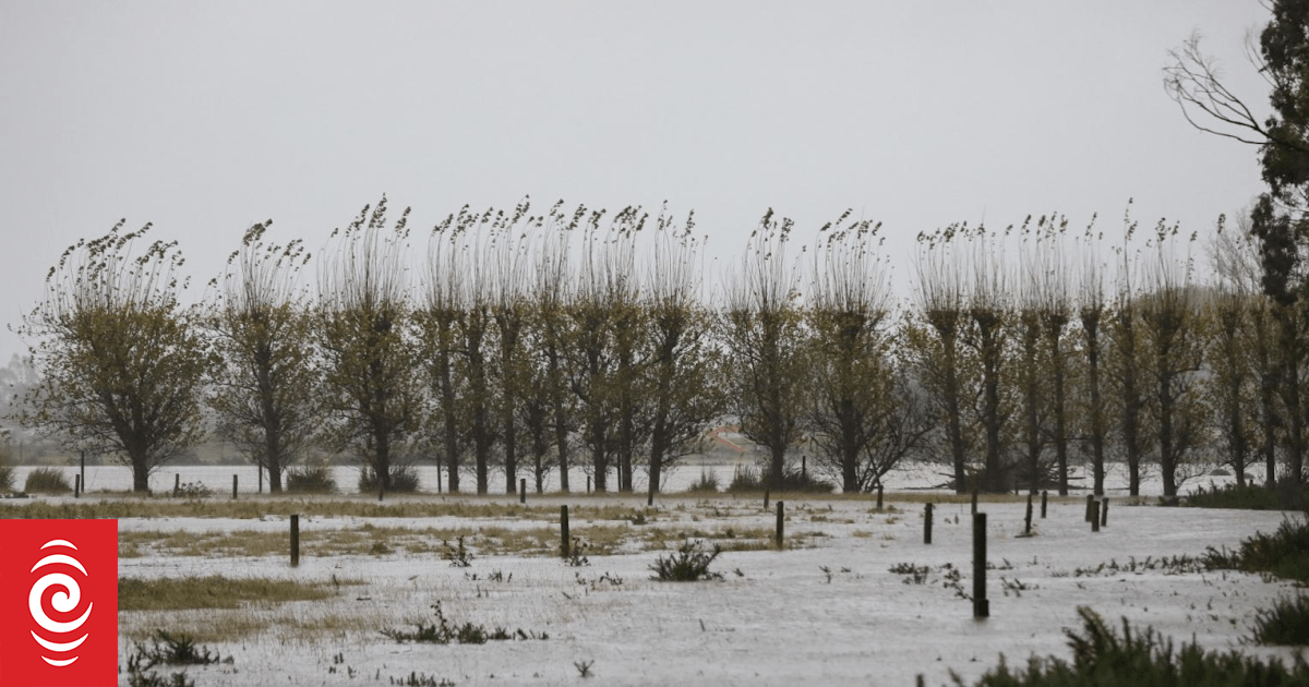Severe weather: Selwyn District Mayor Sam Broughton | RNZ