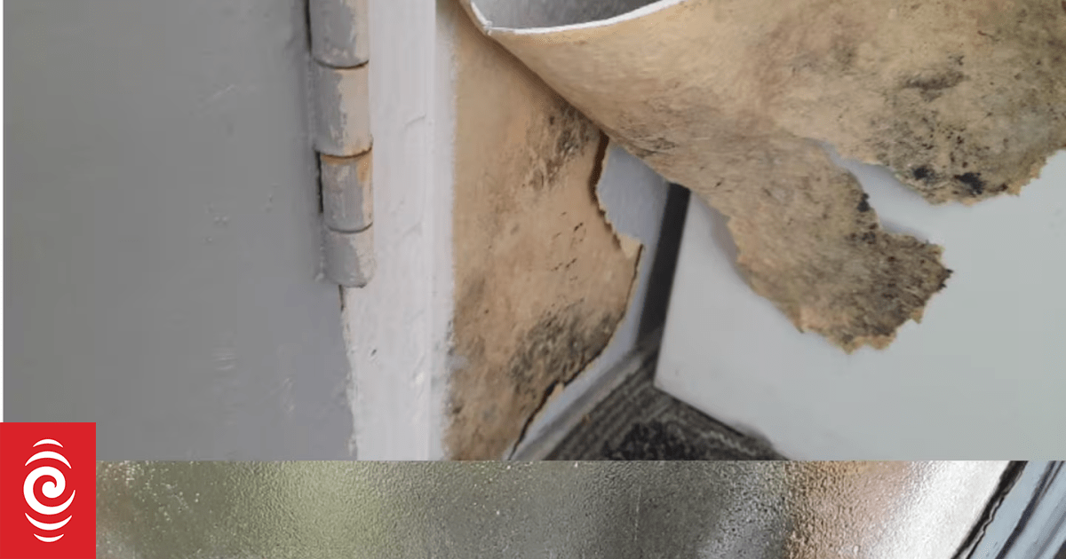 Tenancy Tribunal orders landlord to pay tenant $3400 for ‘appalling ...