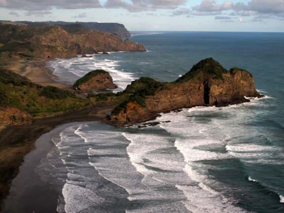 Te Henga Walkway | A Gallery from Nine To Noon | RNZ National