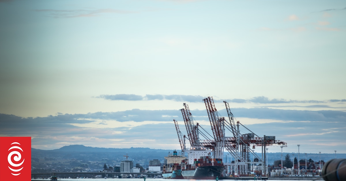 Port of Tauranga delivers $70.2 million half-year profit | RNZ News