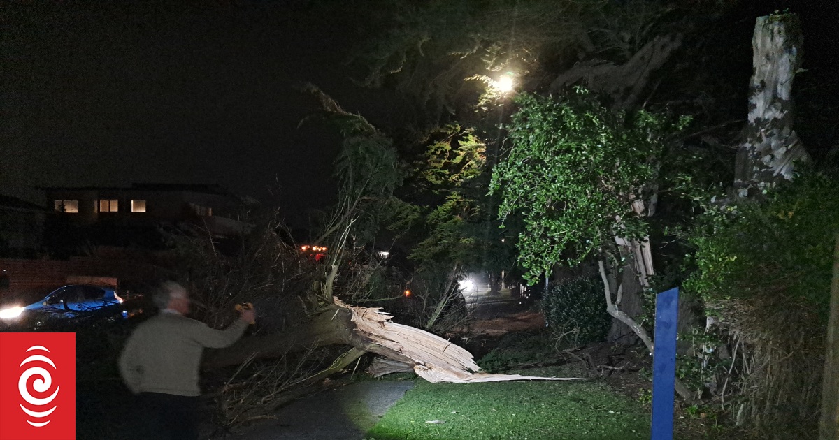 'You literally couldn't stand up' - extreme winds buffeted Wellington ...