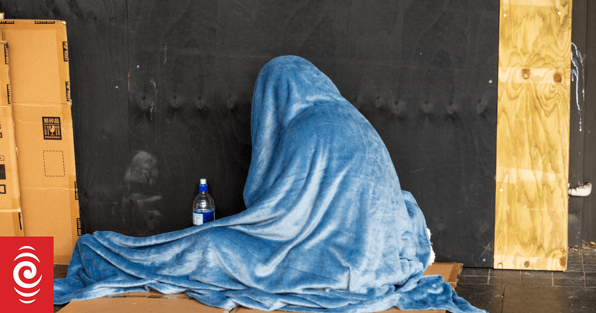 Opposition MPs, community groups call for proposed Auckland ...