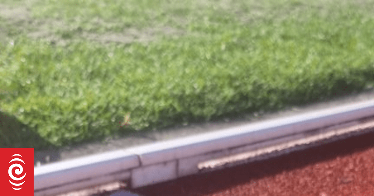 Teenage mile sensation Sam Ruthe auctions record shoes for training ...