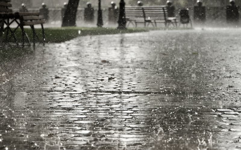 Humid, wet weather forecast for much of the country | RNZ