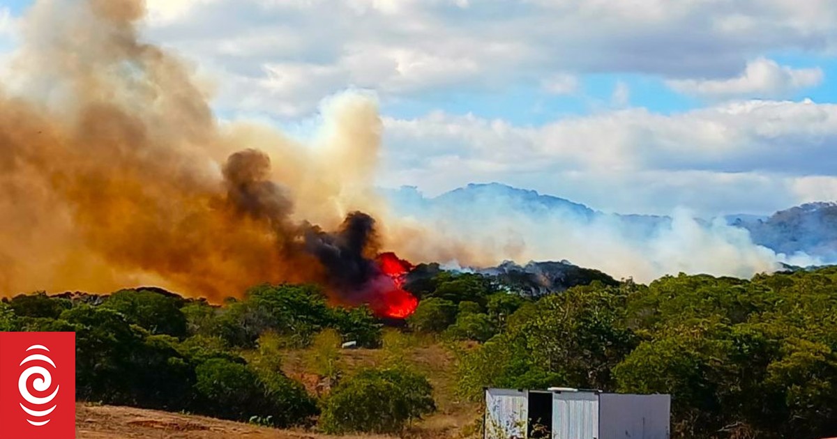 Bushfires in northern New Caledonia, forests destroyed | RNZ News