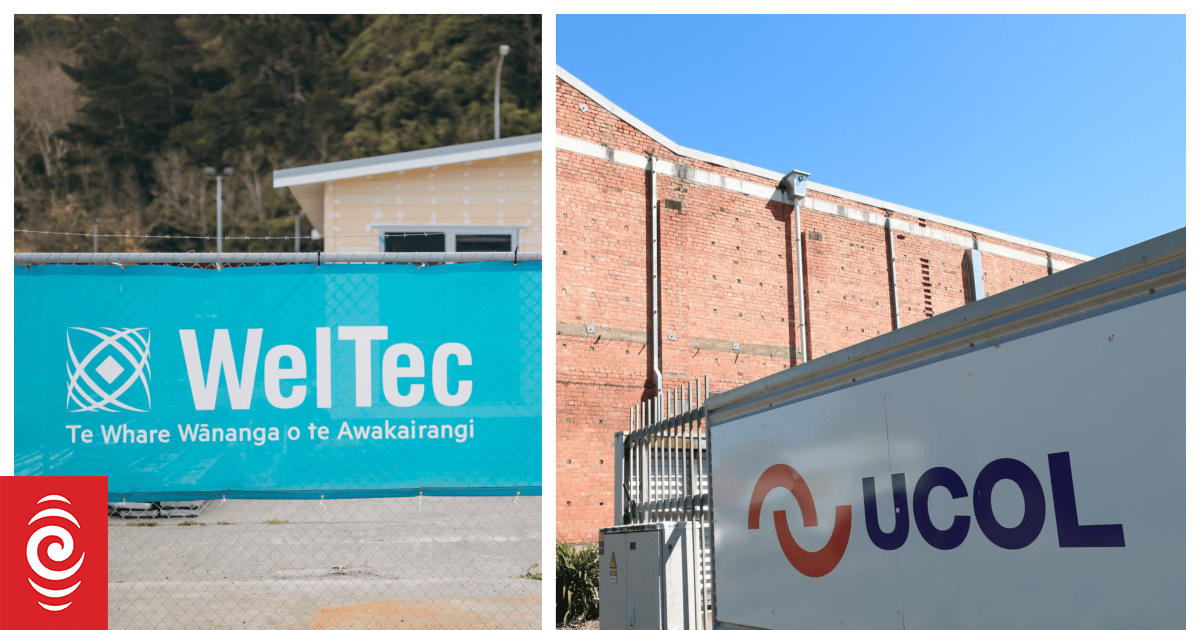 Where to now for Polytechs? | RNZ