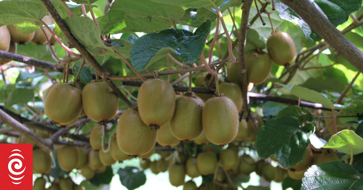 Union calls for ban on hydrogen cyanamide due to 'possible carcinogen ...