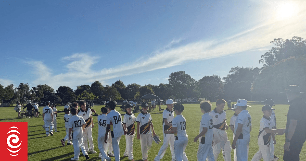 Hundreds of young cricketers battle Hawke's Bay heat for annual ...
