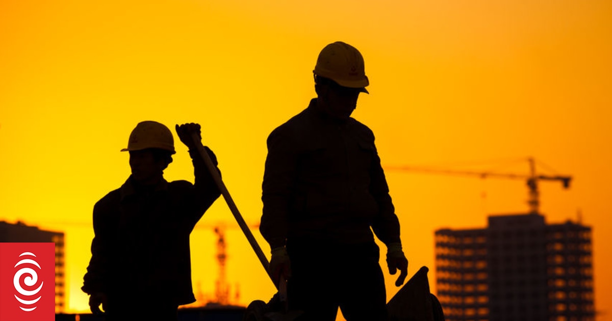 New pilot scheme for apprentice builders planned | RNZ News