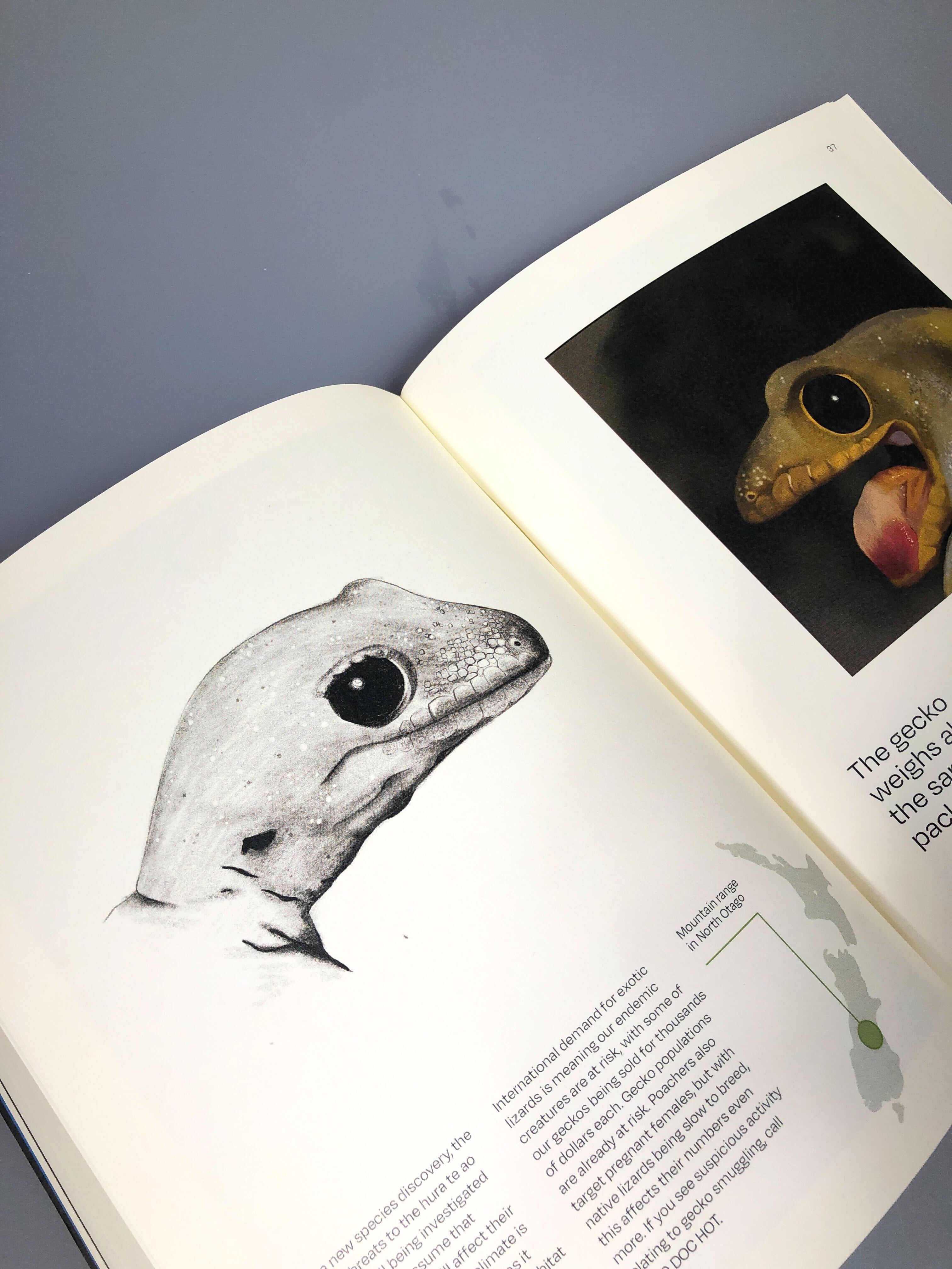 Tiaki: saving our unloved endemic species | RNZ