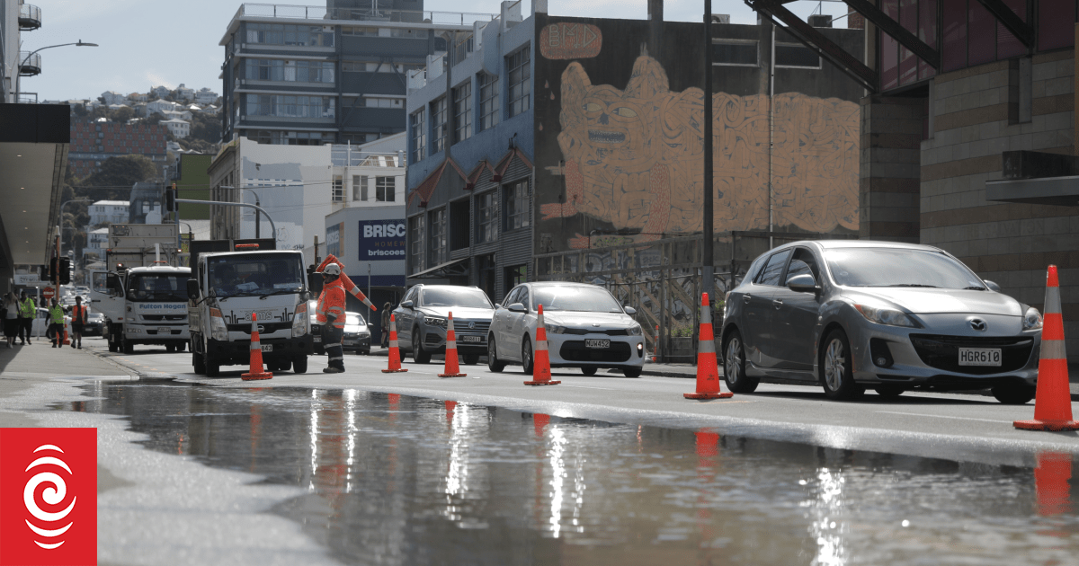 Wellington water loss drops but warning investment in new pipes needed ...