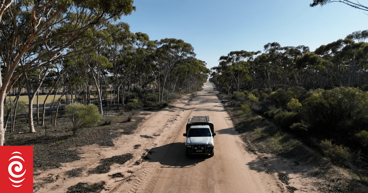 The Adventures of Piripi | Season 2 | Episode 2 | RNZ