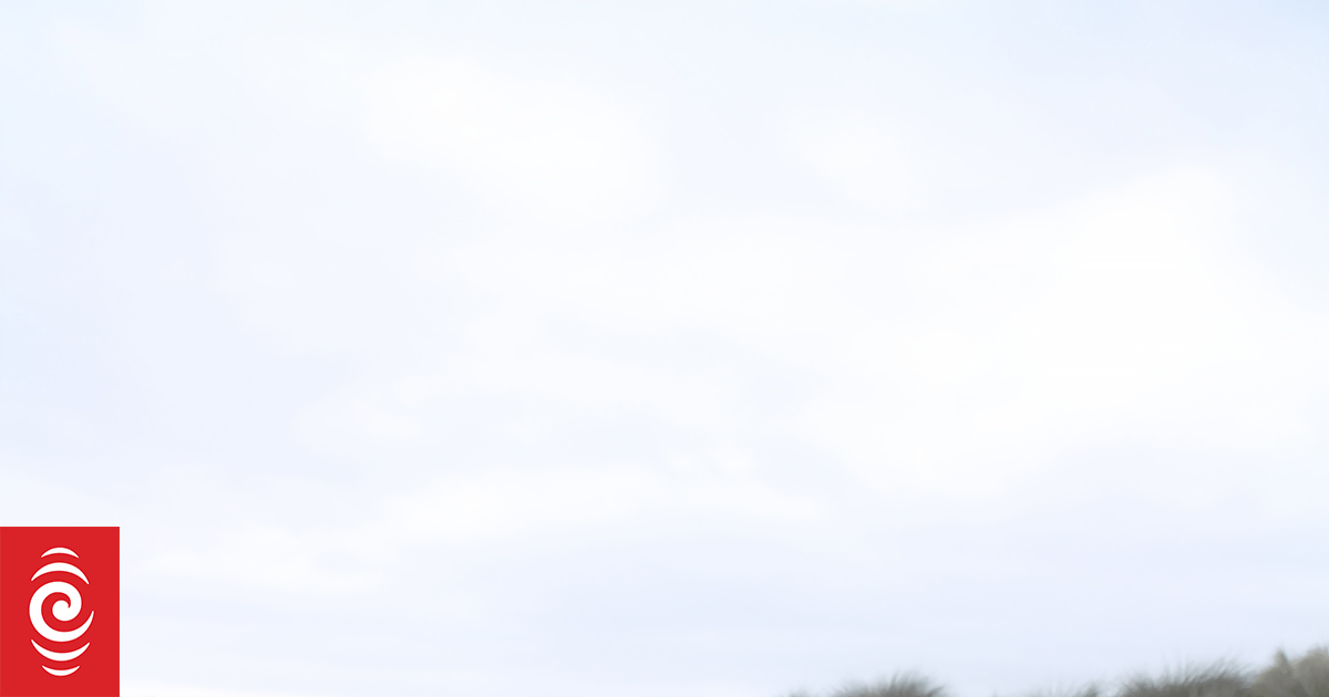 Excavating a historical waka, and the story that goes with it | RNZ News