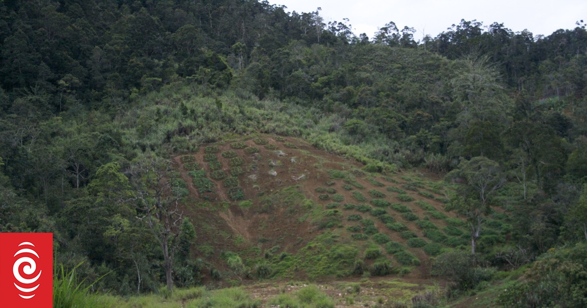 PNG landowners look ahead after SABL order | RNZ News