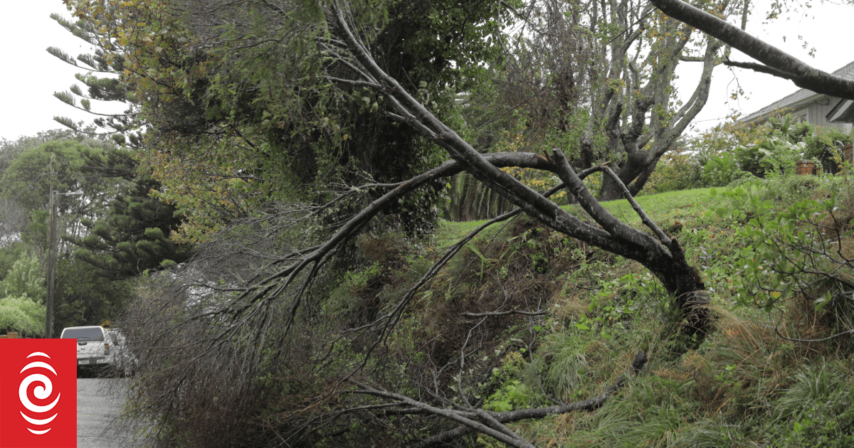 'Threat to life': Wellington wind warning at highest 'red' level | RNZ News