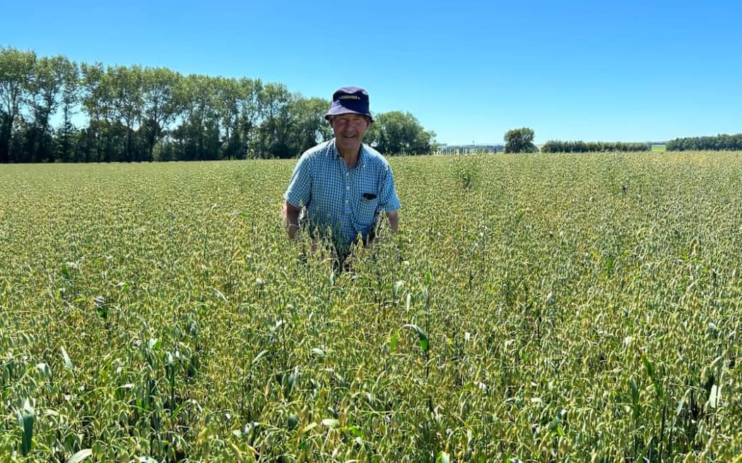 Five generations of oat growers in Gore, a family story | RNZ